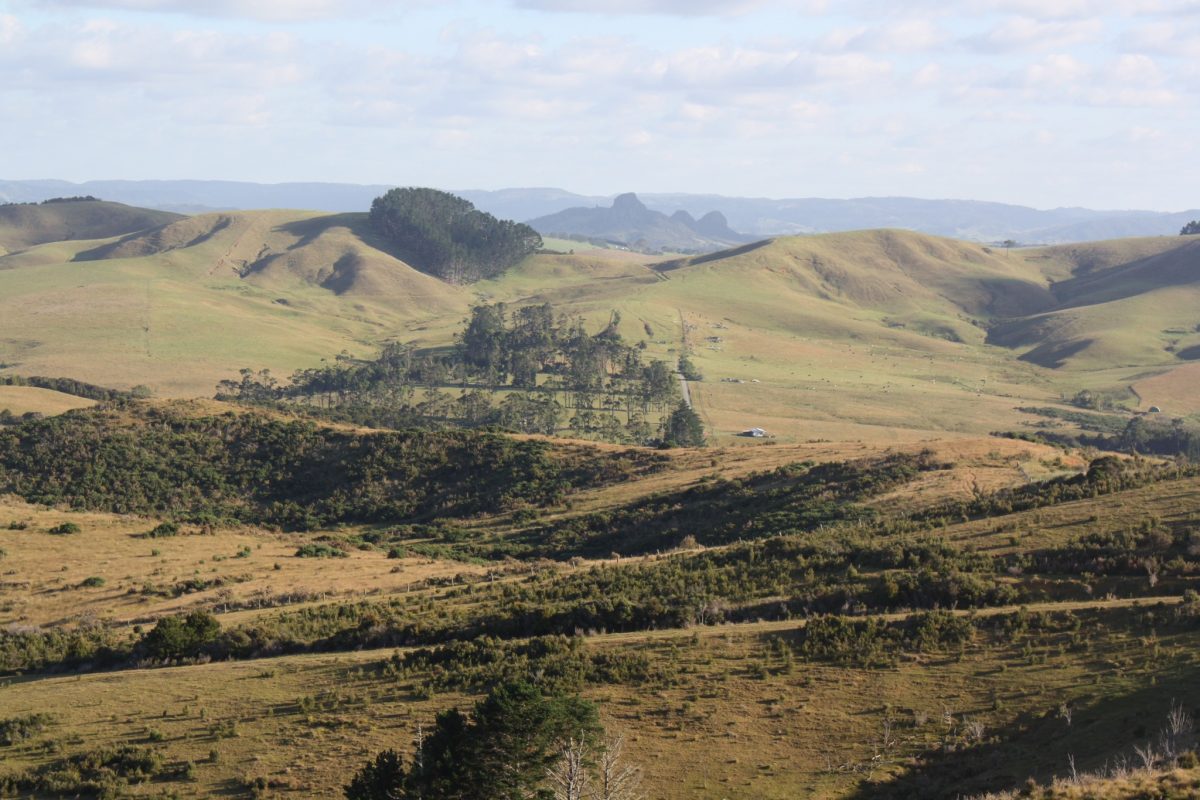 Te Wai 45 Kahui o Whangaroa – Whangaroa Papa Hapū